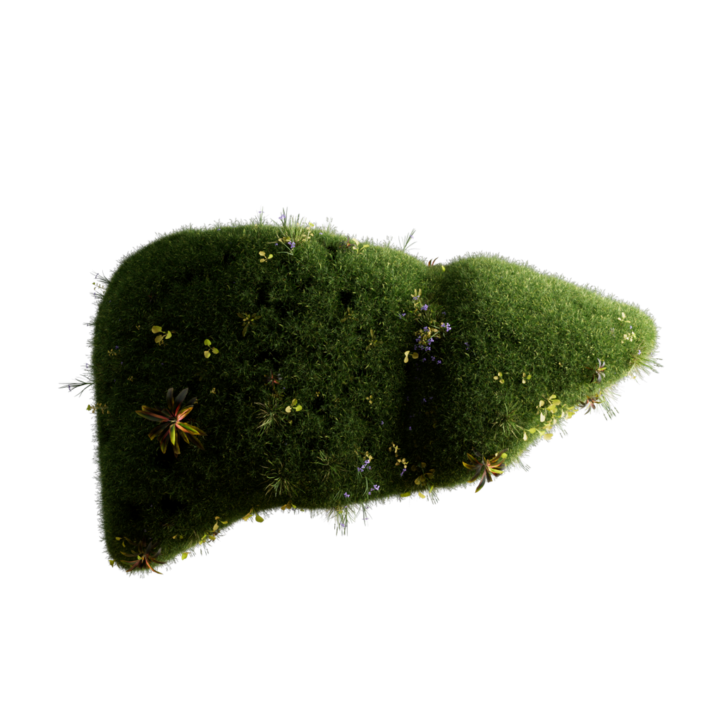 Love your liver – Biocol Labs